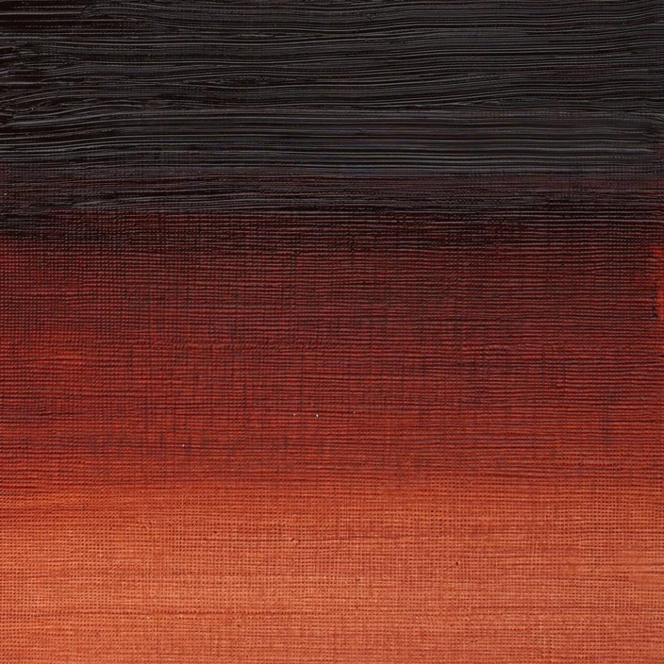 Transparent Maroon – ARTSCAPE
