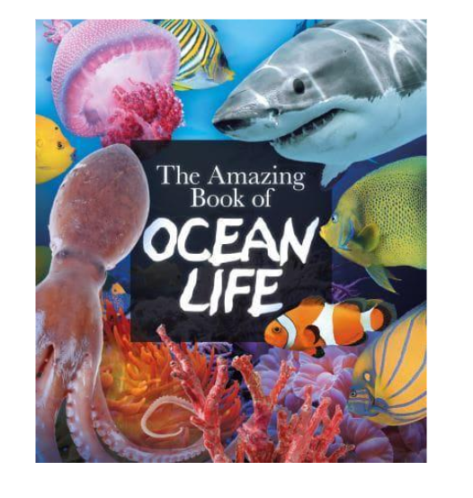The Amazing Book Of Ocean Life – ARTSCAPE