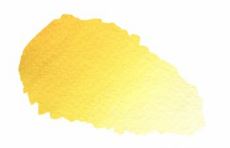 Aureoline – ARTSCAPE