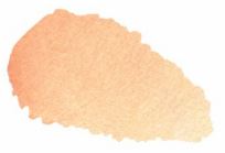 Naples rose – ARTSCAPE